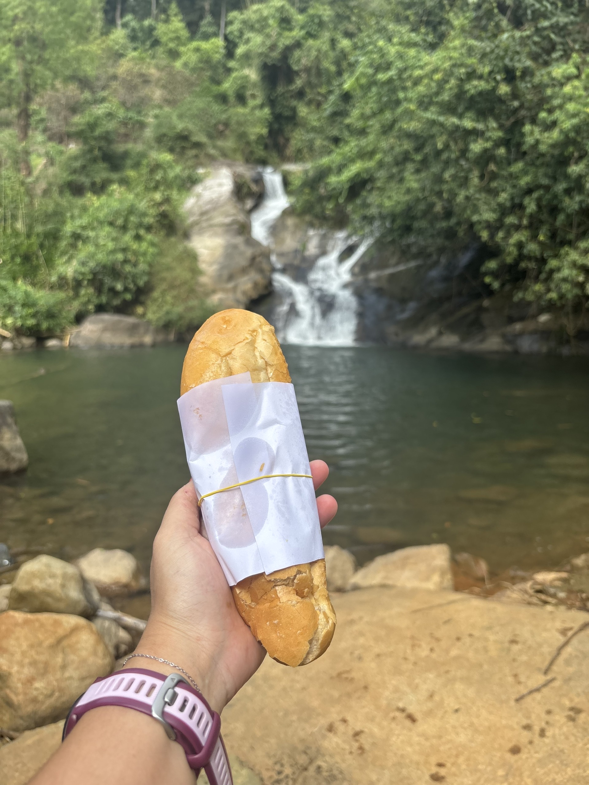 Hiking: Buffalo Head Waterfall – Lynn By Linh